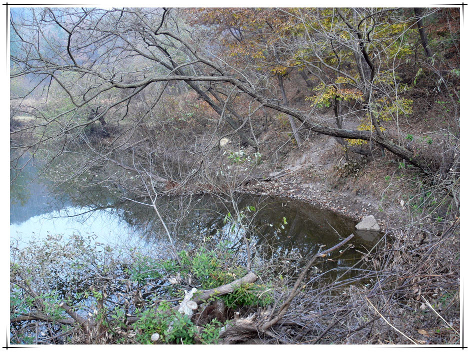 입큰붕어 화보집